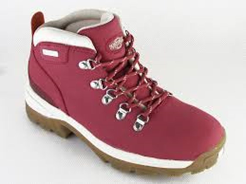 Sue Rolph is fundraising for The Peter Willmott Foundation