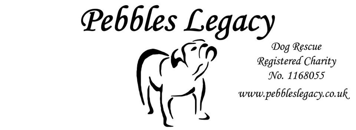 Lucy Heron-Johnson is fundraising for Pebbles Legacy