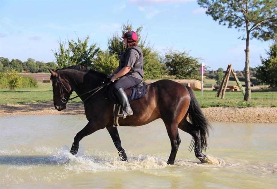 Helen Heenan is fundraising for Hannah's Willberry Wonder Pony Charity