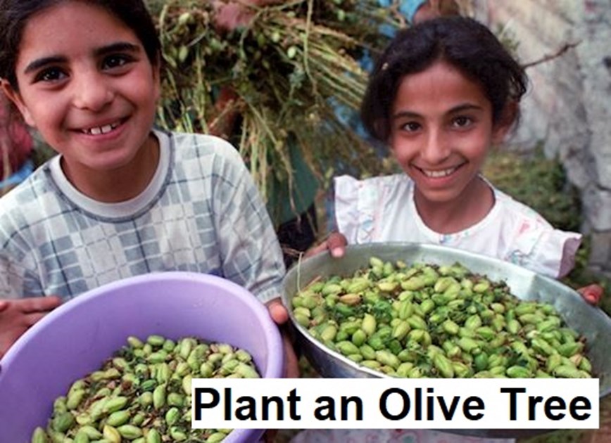 Rom And Mariam is fundraising for Human Appeal