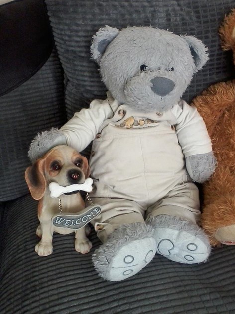 Teddy Wheeler is fundraising for PDSA