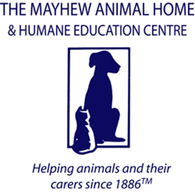Justine Scott is fundraising for The Mayhew Animal Home