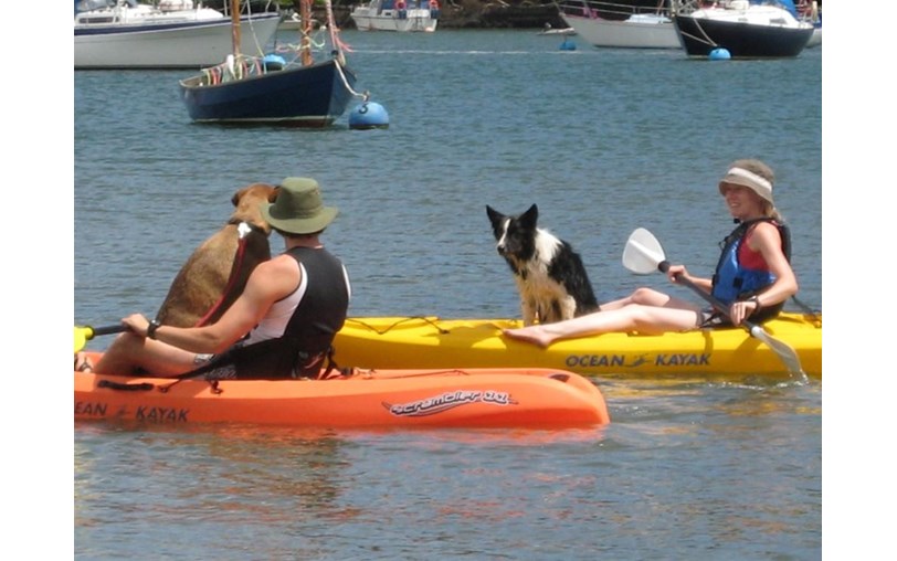 Ed Parr Ferris is fundraising for The Jeremy Willson Charitable Trust