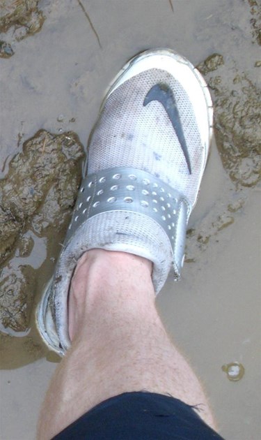 Will Coates is fundraising for WWF-UK