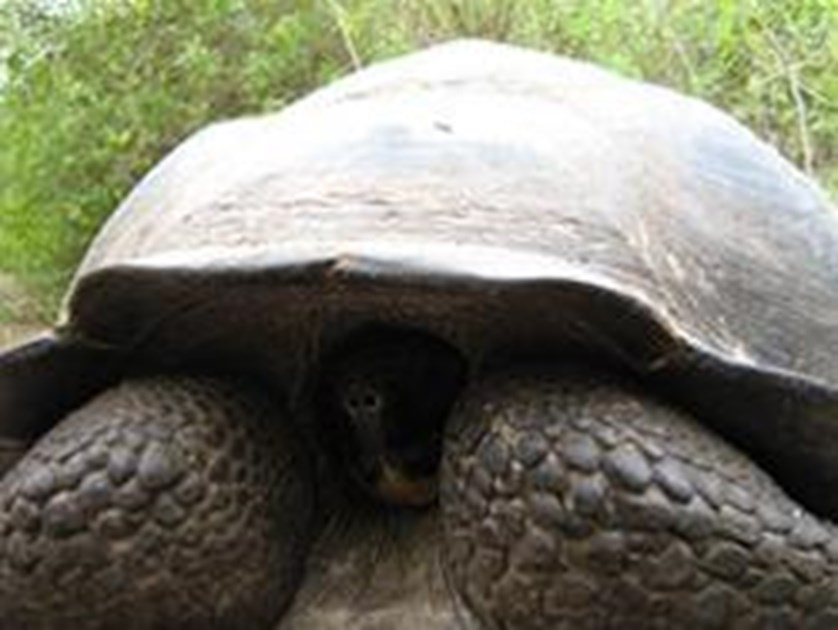 Adam Knowles is fundraising for Age UK