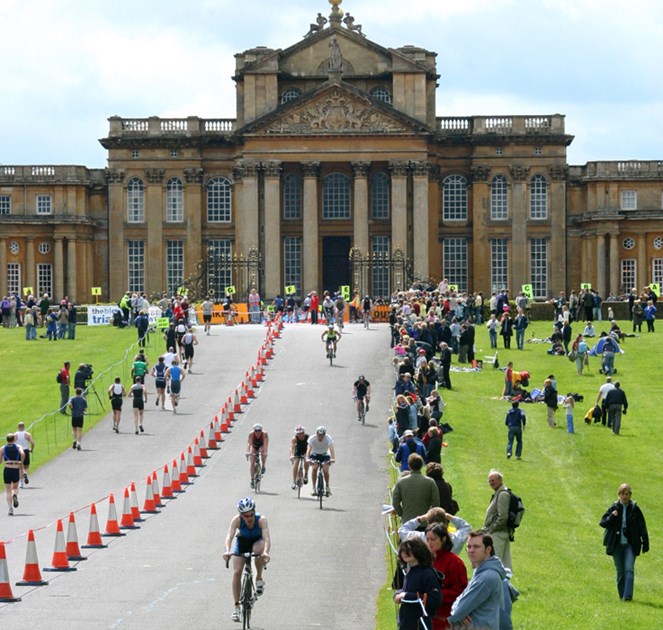 Guy Dobson is fundraising for Thinking of Oscar