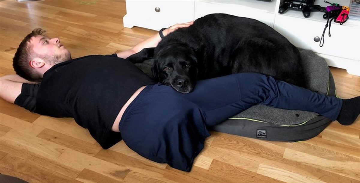 Joel Hales Waller is fundraising for Dogs For Good