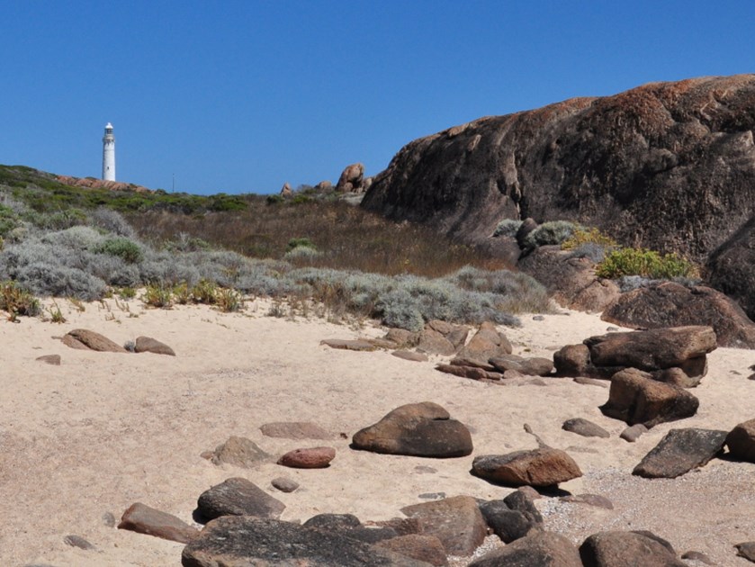 Tiina Orasmae-Meder is fundraising for Macmillan Cancer Support