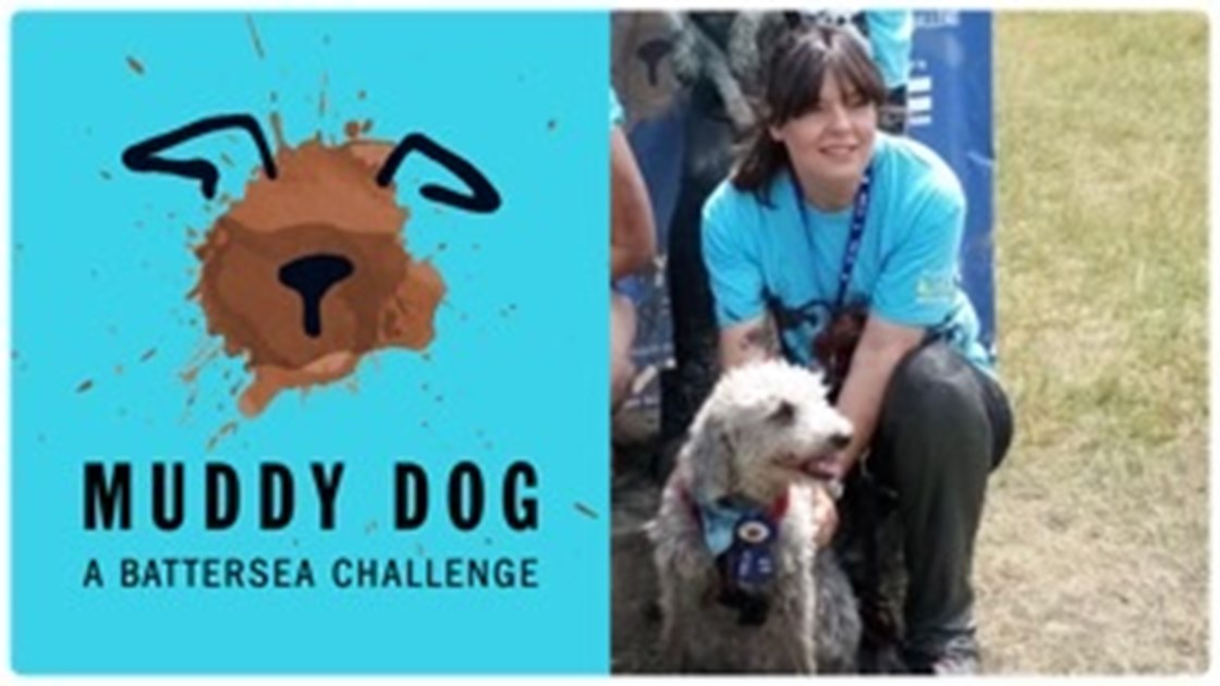 Rachel Rice-Ault is fundraising for Battersea