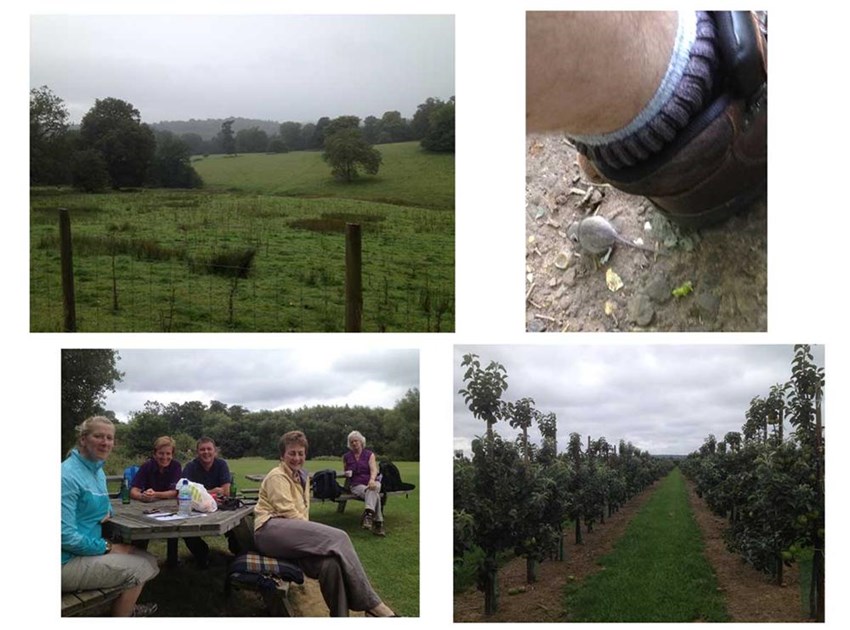 Robert Evers is fundraising for Kent Cancer Trust