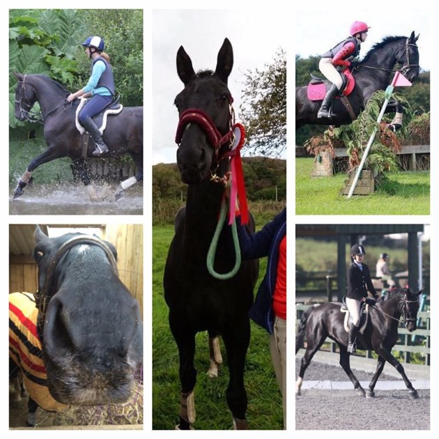 Emma Carlyon is fundraising for Hannah's Willberry Wonder Pony Charity