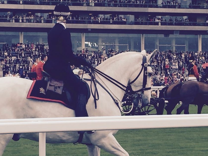 Laura Riding-Felce is fundraising for The Horse Trust