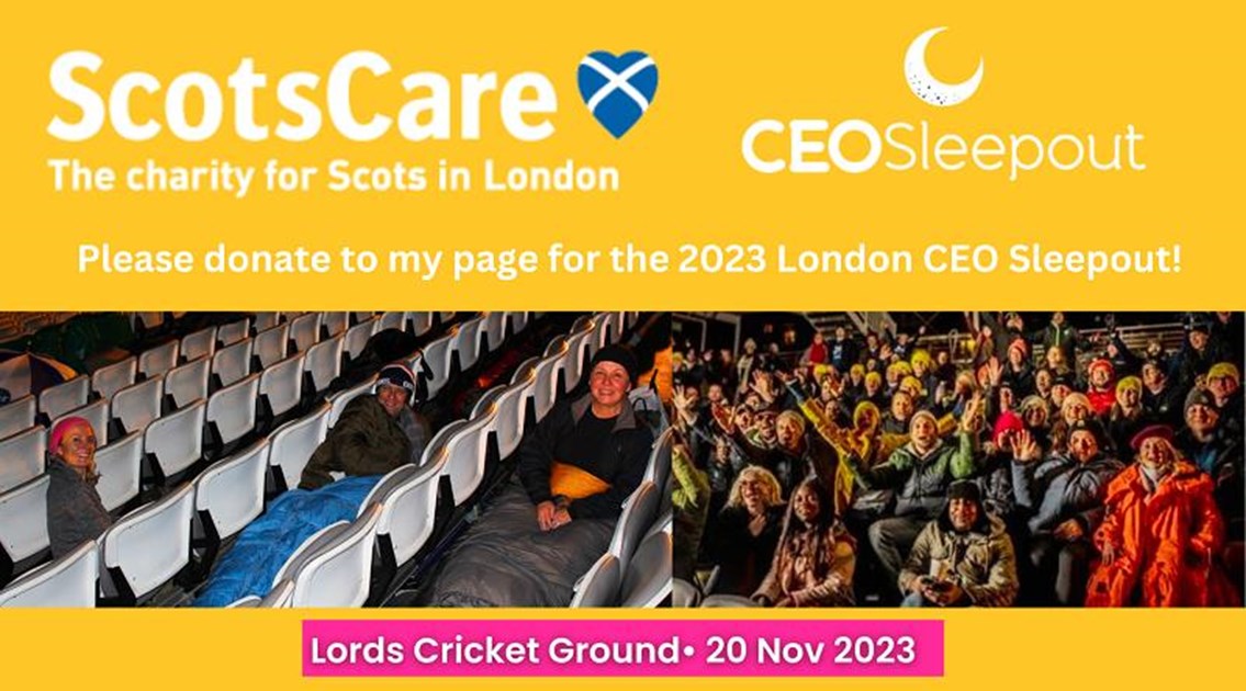 Shona Fleming is fundraising for CEO Sleepout