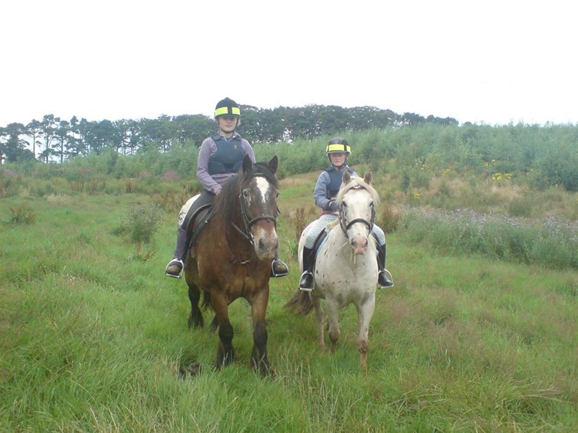 Jennifer Hume is fundraising for World Horse Welfare