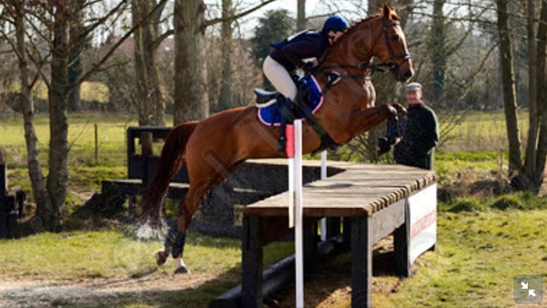 Jessica Macey is fundraising for Macmillan Cancer Support