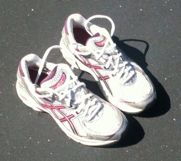 Janelle Morrison is fundraising for SPANA