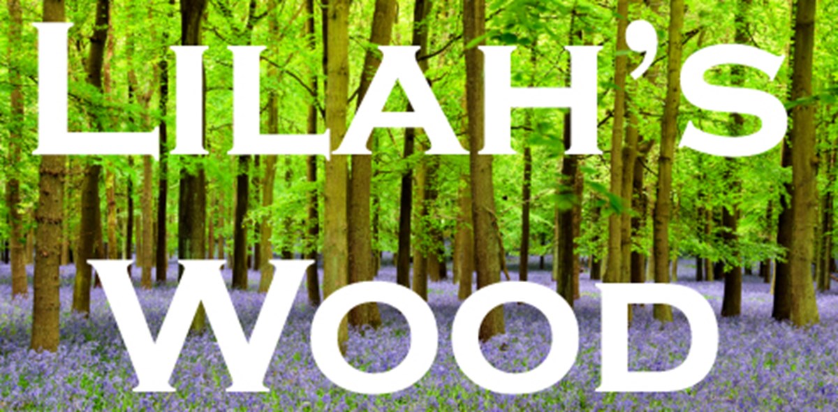 Saskia Fraser is fundraising for Lilah's Wood