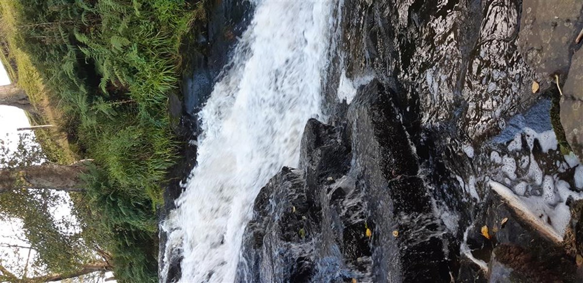 Francis Pyatt is fundraising for East Cheshire Hospice