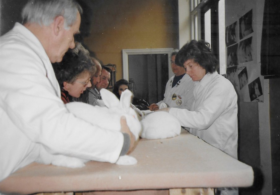 Ally Gill is fundraising for Stroke Association