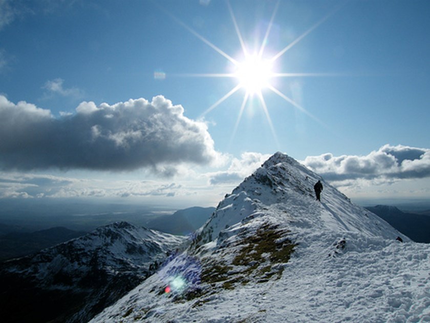 Leanne Capitano is fundraising for Stoke Mandeville Spinal Research