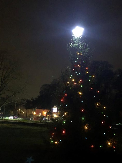 Bill and The Christmas Tree Committee is fundraising for Carers Bucks