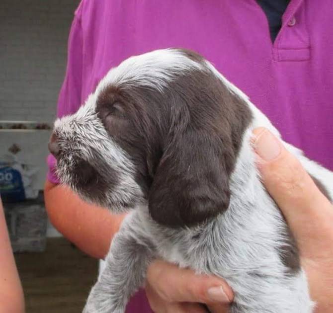 Clare Fordham is fundraising for Cancer Research UK