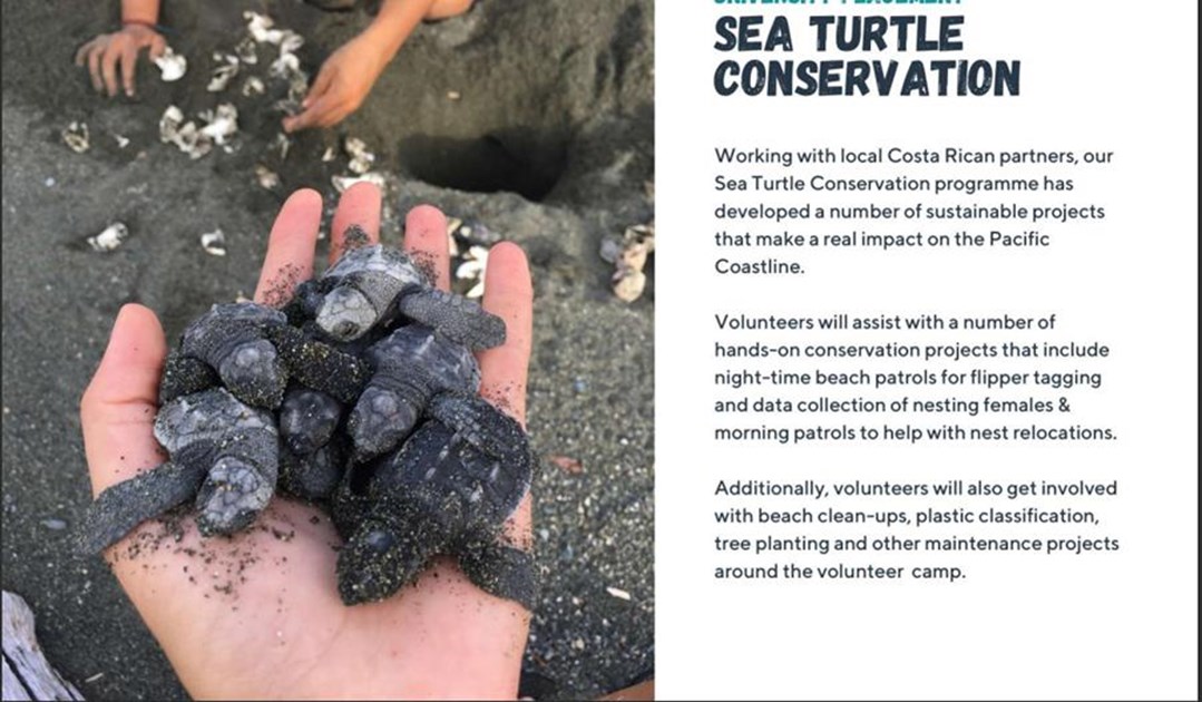 Helena Henning is fundraising for Travelteer Impact