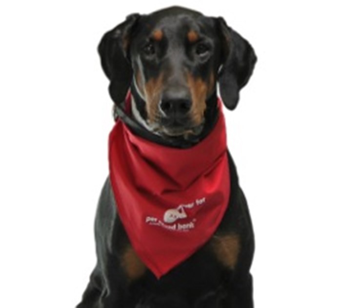 julia eady is fundraising for Pet Blood Bank UK