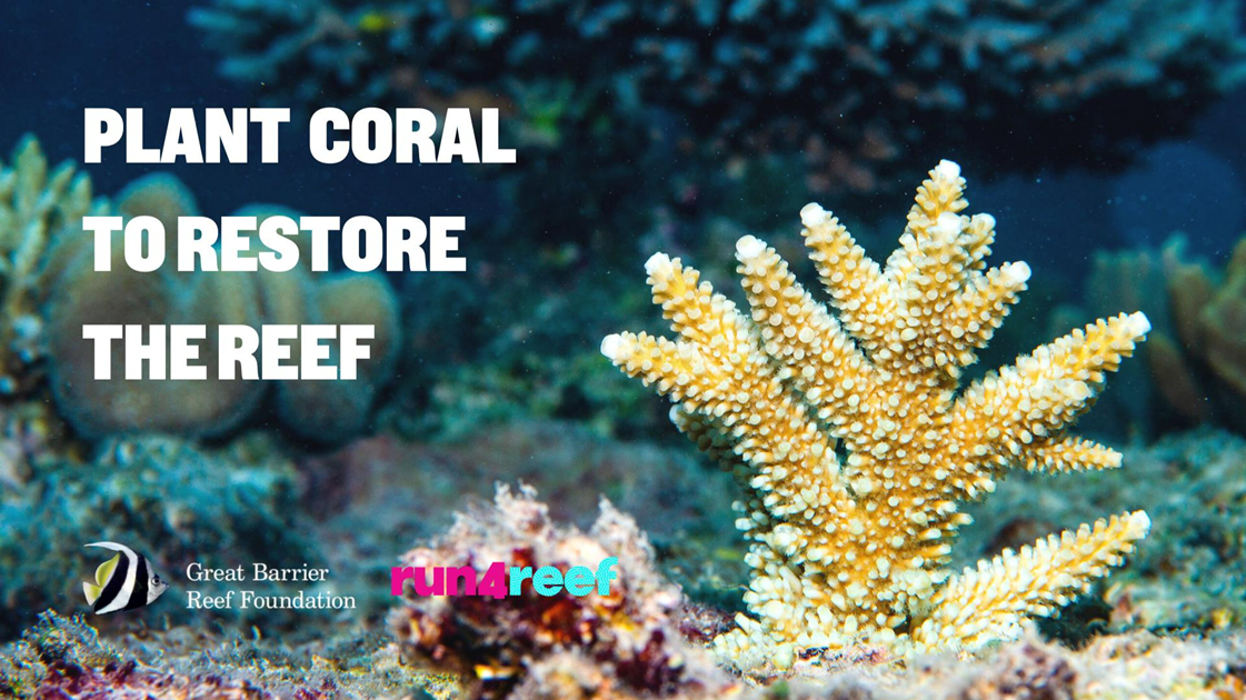 Tom Yuill is fundraising for Great Barrier Reef Foundation