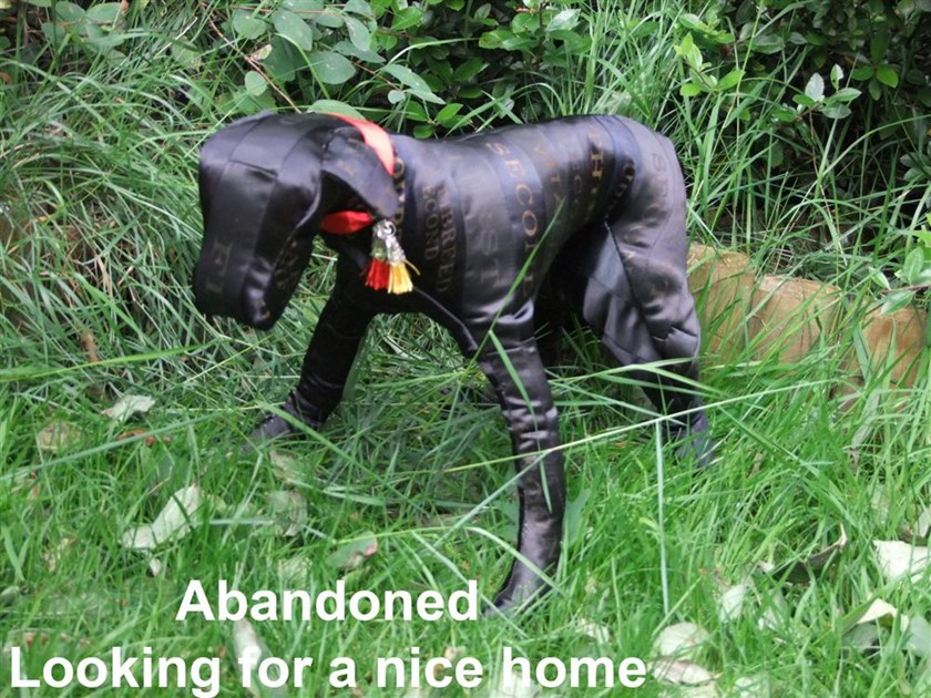 Carolyn Savage is fundraising for Greyhound Gap