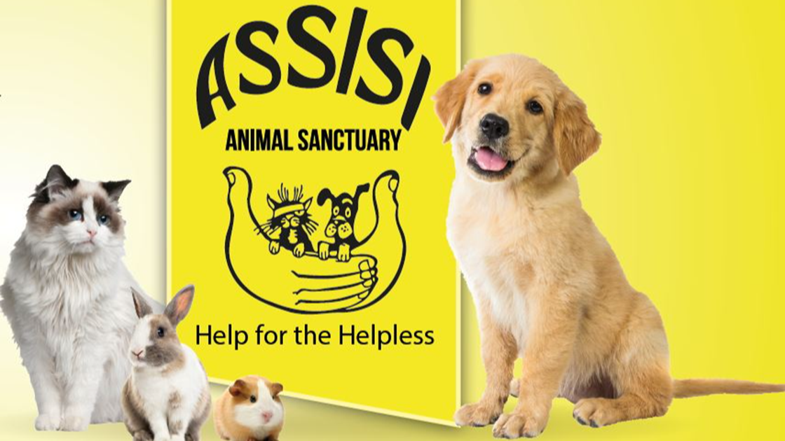 Rosie McKerr is fundraising for Assisi Animal Sanctuary