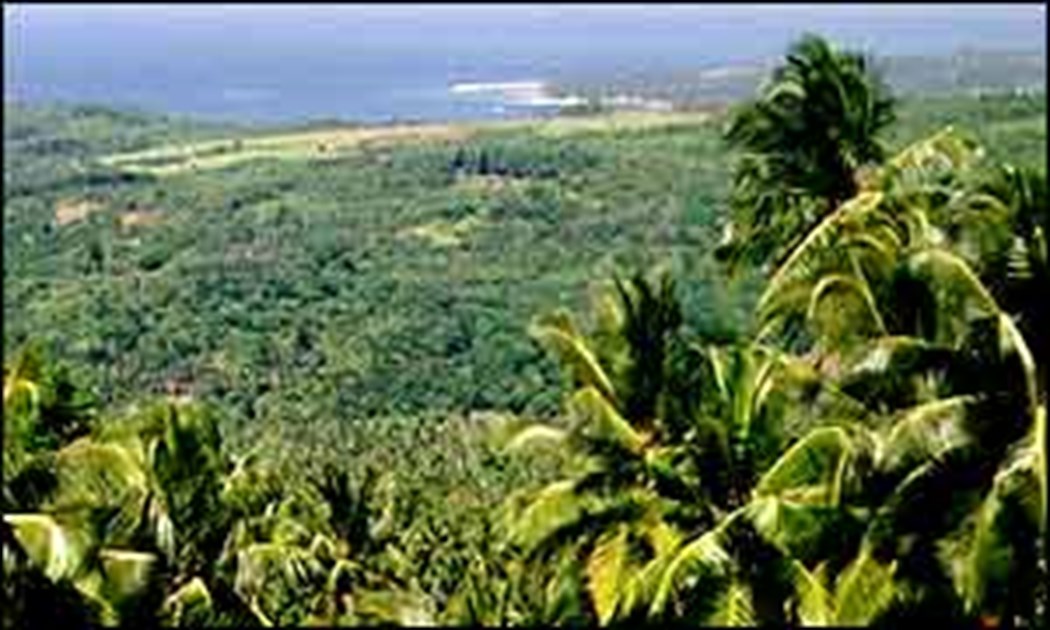 Joe Lawrenson is fundraising for The Operation Wallacea Trust