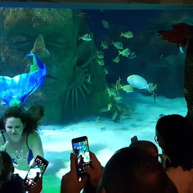 Jeni Hall is fundraising for Captain Paul Watson Foundation UK