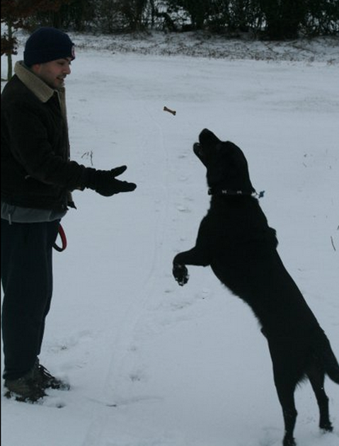 Simon Maple is fundraising for Stand Up To Cancer - a Cancer Research ...