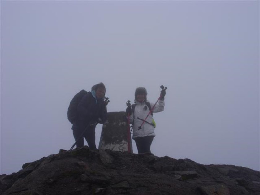 Diane Whyte is fundraising for Marie Curie