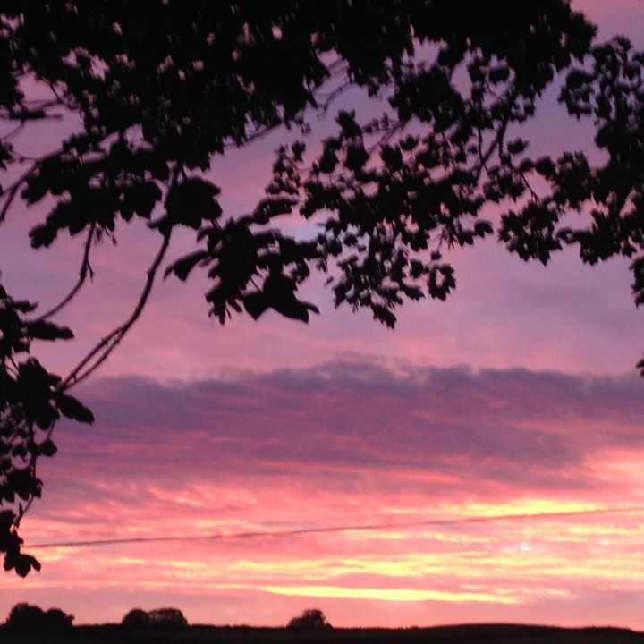 Julie Earp is fundraising for Sue Ryder