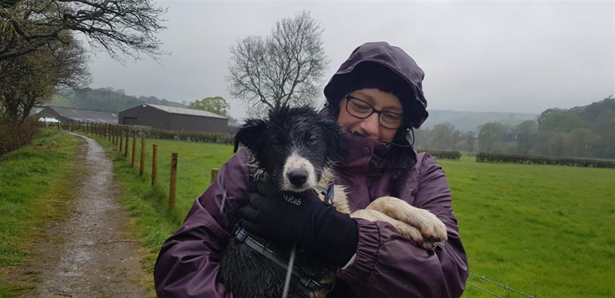 Alison Watson-Shields is fundraising for Battersea