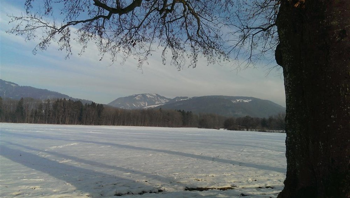 KYLE NEEDHAM is fundraising for Chestnut Tree House Children's Hospice