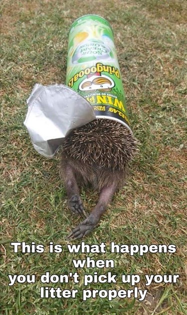 Julie Jig Raftery is fundraising for Chernobyl Children's Project (Uk)