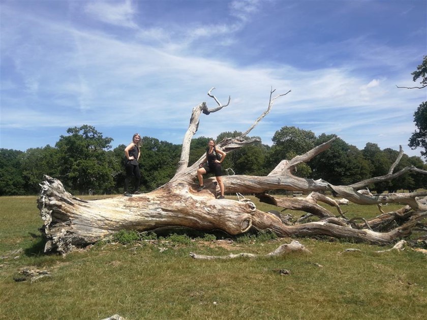 lauren pullen is fundraising for WWF-UK