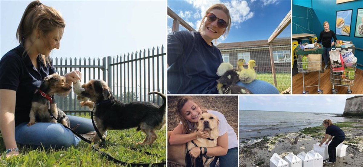 Emily Mayer is fundraising for Little Valley Animal Shelter (RSPCA ...