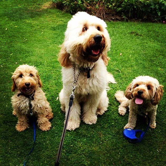 Stuart Hyslop is fundraising for Cornwall Hospice Care