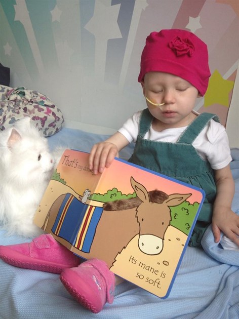 Louise Rooke is fundraising for Chestnut Tree House Children's Hospice