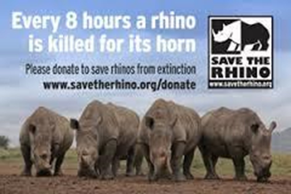 Peter Sturman is fundraising for Save the Rhino International