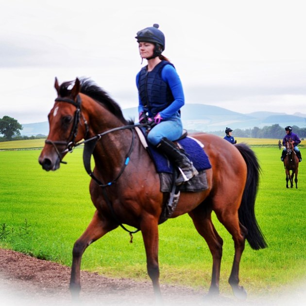 Deirdre Hogan is fundraising for The Punchestown Kidney Research Fund