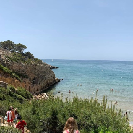 Freya Chambers is fundraising for Teenage Cancer Trust