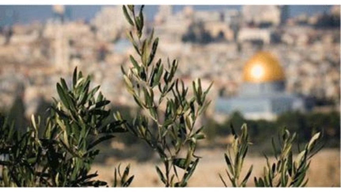 Syma Ahmed is fundraising for Penny Appeal