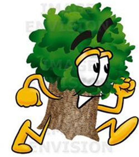 Tri Huynh is fundraising for Catch22