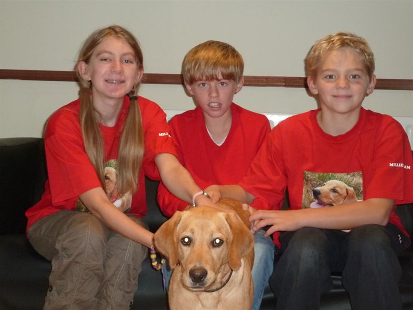 Roberta Pomponio is fundraising for Dogs Trust