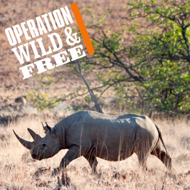 Save the Rhino International Save the Rhino International is ...